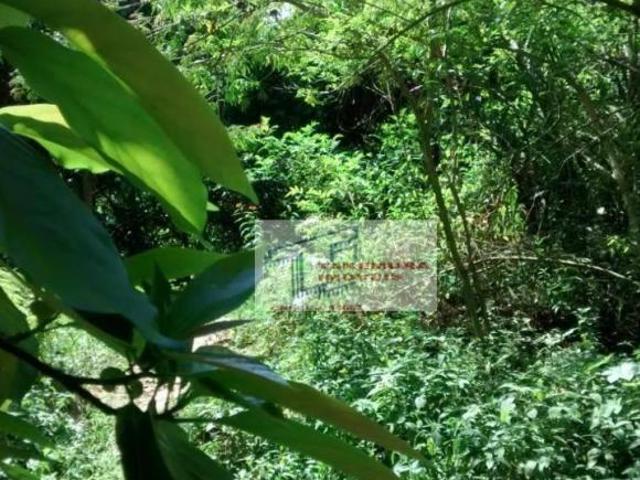 Terreno à venda, 6209 m² por R$ 1.250.000 Jardim Nomura Cotia/SP