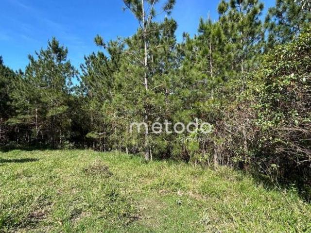 Terreno à venda, 6346 m² por R$ 480.000,00 Parque Agrinco Guararema/SP