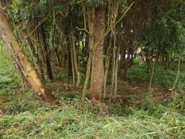 Terreno à venda, 630 m por R 450.000,00 Santo Inácio Curitiba PR