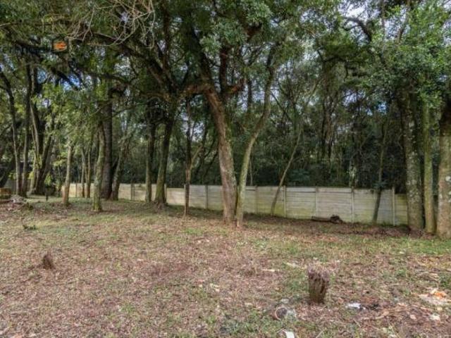 Terreno à venda, 645 m² por R$ 900.000,00 Mossunguê Curitiba/PR