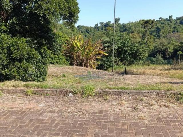 Terreno à venda, 6435 m² por R$ 990.000,00 Parque Jamaica Londrina/PR