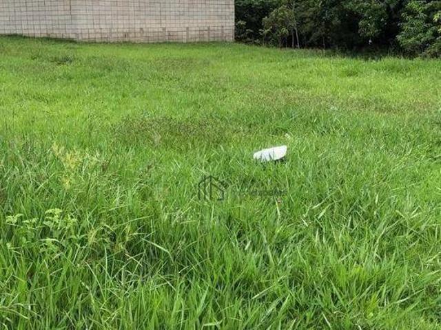 Terreno à venda, 657 m² por R$ 500.000,00 Vila Guedes Jaguariúna/SP