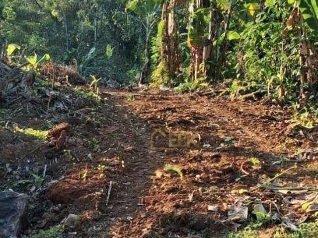 Terreno a venda, 666 m² por 650.000 Alto da Praia Vermelha do Centro/Itaguá Ubatuba/SP