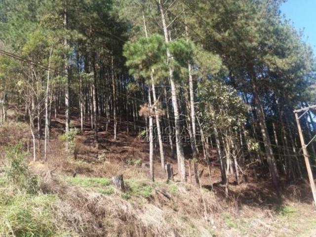 Terreno à venda, 6756 m² por R$ 385.000,00 Chácara Santa Rita Ouro Fino Pauli