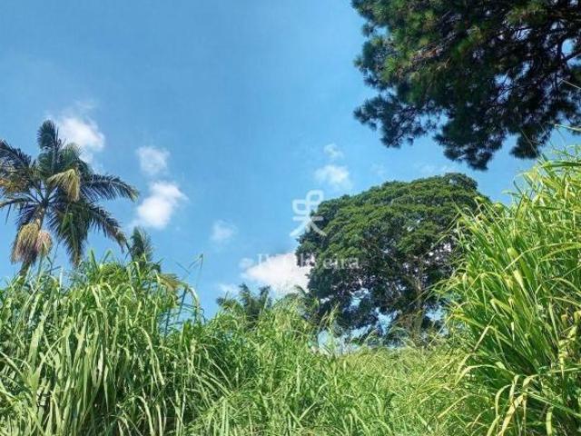 Terreno à venda, 676 m² por R$ 1.599.999,99 Jardim Guedala São Paulo/SP
