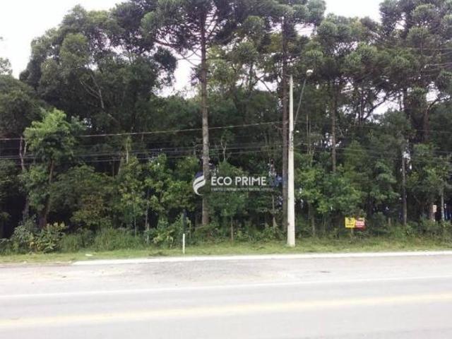 Terreno à venda, 67367 m² por R$ 13.000.000,00 Parque do Embu Colombo/PR