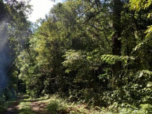 Terreno a venda