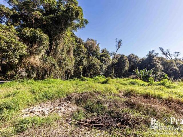 Terreno à venda, 6.972 m² privativos Del Rey, São José dos Pinhais, PR
