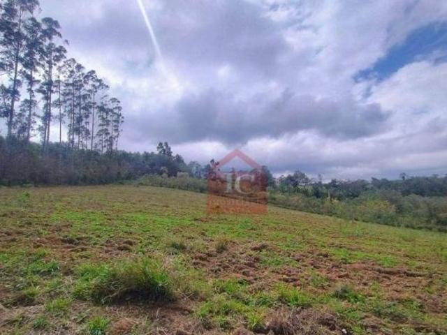 Terreno à venda, 6.260 m² por R$ 550.000 Mendes Cotia/SP