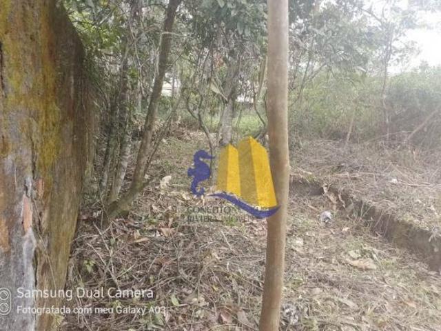 Terreno à venda, 705 m² por R$ 800.000,00 Jardim São Lourenço Bertioga/SP