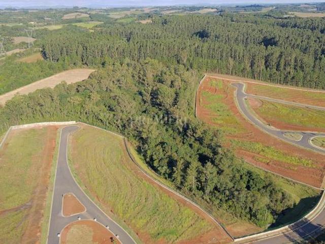 Terreno à venda, 705 m² por R$ 990.000 Alphavill