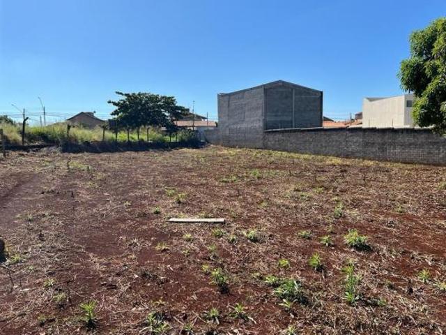Terreno à venda, 7000 m² por R$ 2.800.000,00 Chácaras Mussahiro Londrina/PR