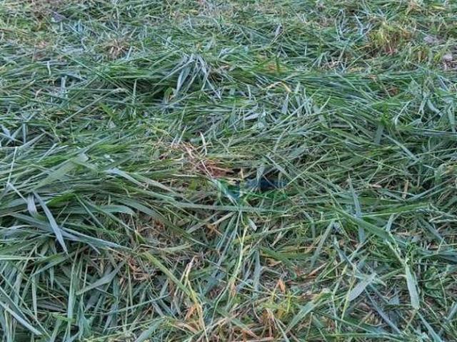 Terreno à venda, 700 m² por R$ 85.000 Alpes Suíços Piracicaba/SP