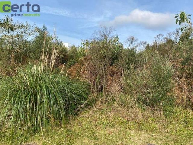 Terreno à venda, 728 m² Mato Queimado Gramado/RS