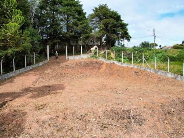 Terreno à venda, 730 m² por R$ 400.000 Vila Telma Campos do Jordão/SP