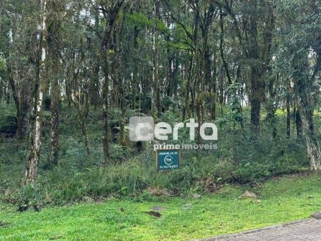 Terreno à venda, 744 m² por R$ 640.000,00 Pinheiro Grosso Canela/RS