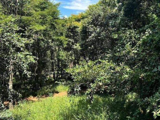 Terreno à venda, 746,80 m² por R$ 746.000,00 Condomínio Portal de Bragança Horizonte Bragança Pa