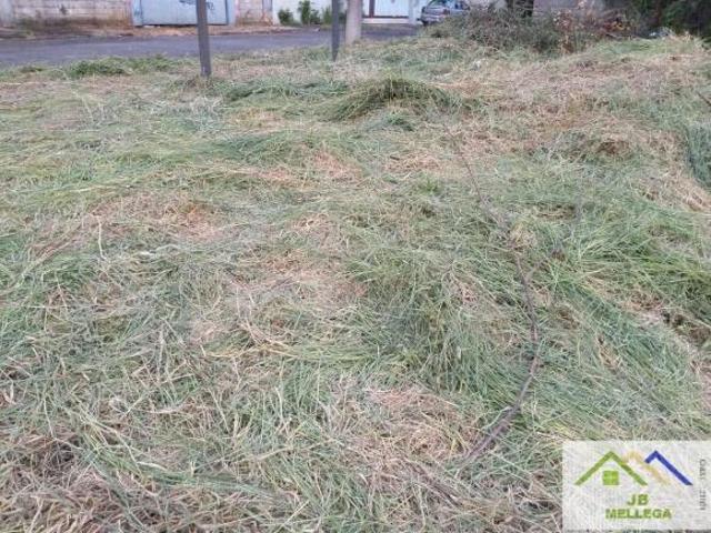 Terreno à venda, 748 m² por R$ 550.000,00 Nova Piracicaba Piracicaba/SP