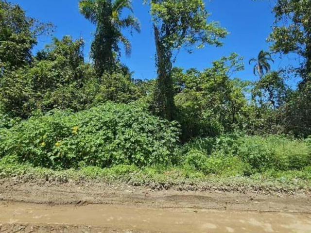 Terreno à venda, 750 m² por R$ 360.000,00 Golfinho Caraguatatuba/SP