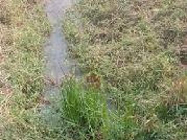 Terreno à venda, 7753 m² por R$ 220.000 Zona Rural Paraibuna/SP