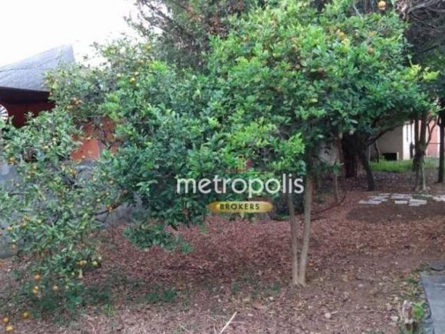 Terreno à venda, 780 m² por R$ 1.685.000,00 Vila Alzira Santo André/SP