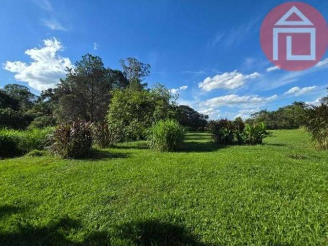 Terreno à venda, 8000 m² por R$ 750.000,00 Mãe dos Homens Bragança Paulista/SP