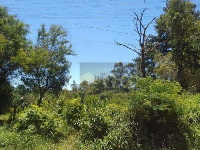 Terreno à venda, 800 m² por R$ 128.000,00 Florescente Viamão/RS