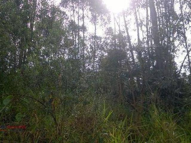 Terreno à venda, 800 m² por R$ 180.000,00 Clube dos Oficiais São Roque/SP