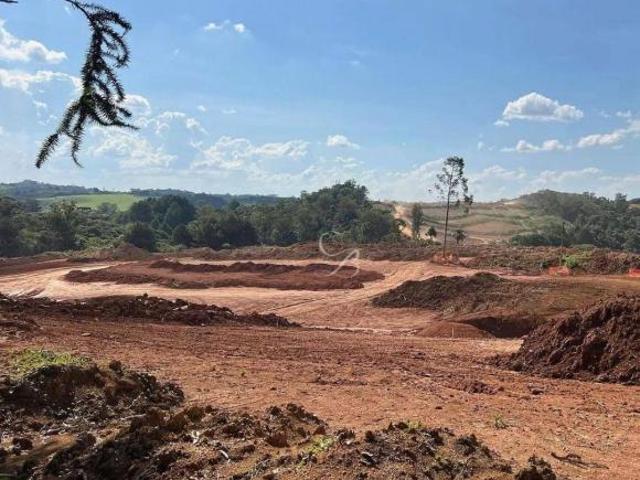 Terreno à venda, 817 m² por R$ 1.499.000,00 Ferraria Campo Largo/PR