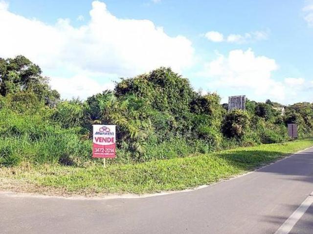 Terreno à venda, 810 m² por R$ 650.000,00 Eliana Guaratuba/PR