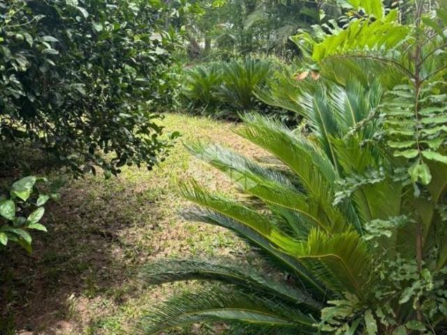Terreno a venda