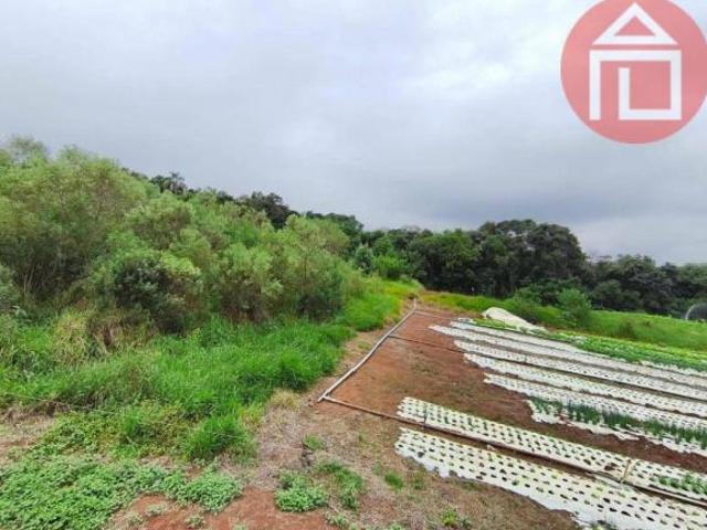 Terreno à venda, 8500 m² por R$ 485.000,00 Mãe dos Homens Bragança Paulista/SP