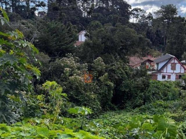 Terreno à venda, 850 m² por R$ 800.000 Alto Do Capivari Campos do Jordão/SP