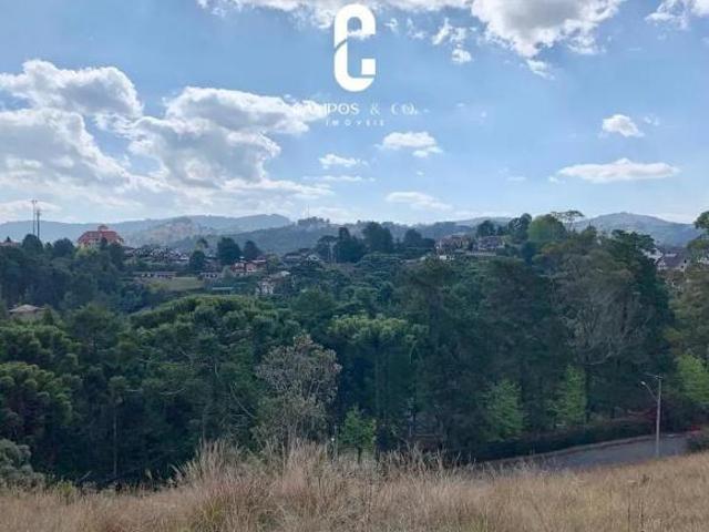 Terreno à venda, 8860 m² por R$ 6.800.000,00 Vila Simonsen Campos do Jordão/SP