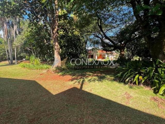 Terreno à Venda – 8.000 m² | Chácara Primavera – Campinas/SP