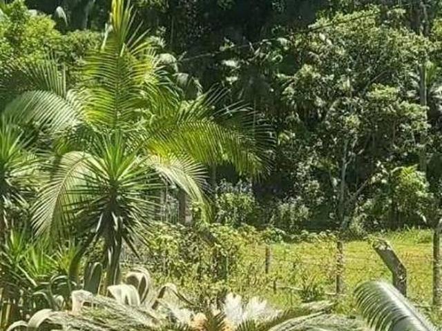 Terreno à venda, 9000 m² por R$ 250.000,00 Miracatu Miracatu/SP