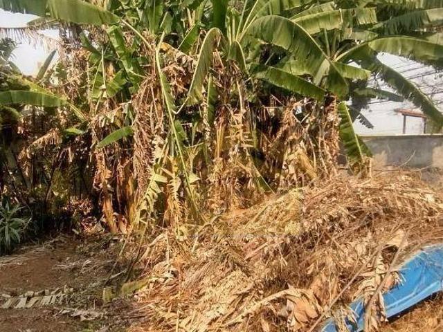 Terreno à venda, 901 m² por R$ 4.000.000,00 Vila Guarani Zona Sul São Paulo/SP