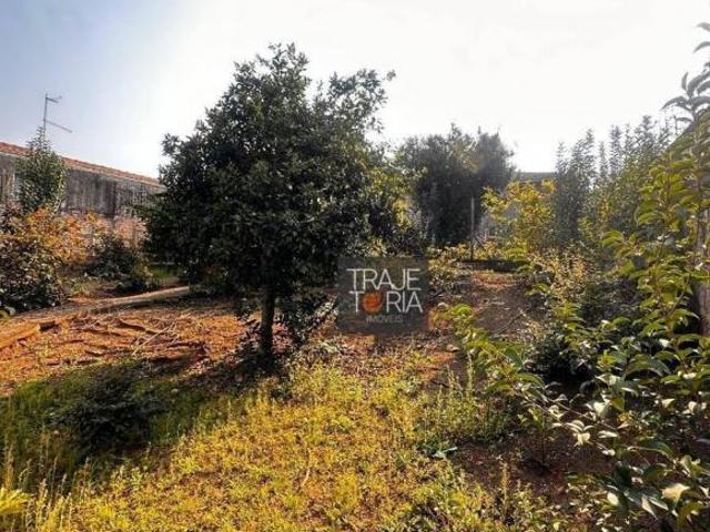 Terreno à venda, 915 m² por R$ 957.000,00 Portão Curitiba/PR