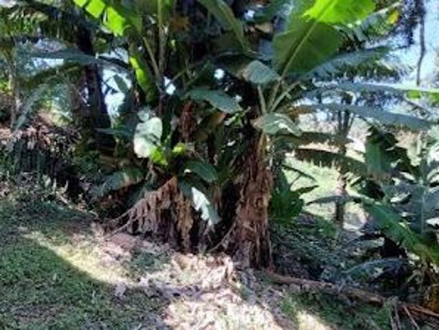 Terreno à venda, 917 m² por R$ 266.000,00 Residencial Eldorado Cajamar/SP