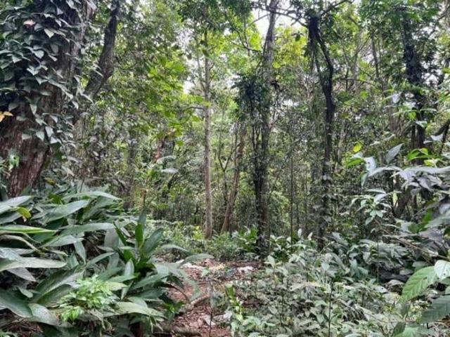 Terreno à venda, 9550 m² por R$ 580.000,00 Batistini São Bernardo do Campo/SP