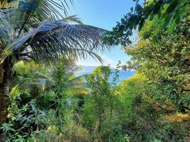 Terreno à venda, 9664 m² por R$ 10.000.000,00 Ponta da Sela Ilhabela/SP