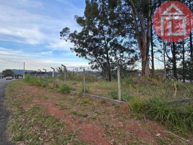 Terreno à venda, 976 m² por R$ 585.000,00 Jardim São José Bragança Paulista/SP