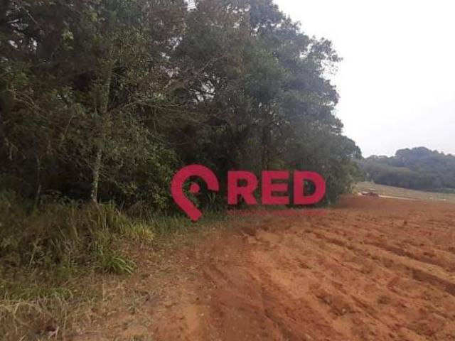 Terreno à venda, 98000 m² por R$ 550.000,00 Piedade Piedade/SP