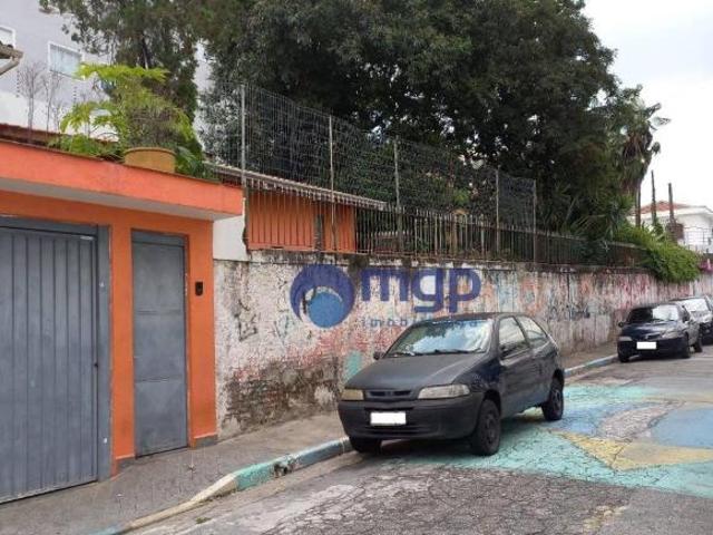 Terreno à venda, 980 m² por R$ 3.450.000,00 Vila Gustavo São Paulo/SP