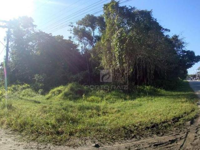 Terreno à venda, 995 m² por R$ 120.000,00 Jardim Coronel Itanhaém/SP