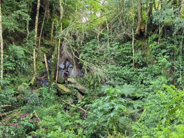 Terreno à venda, 9970 m² por R$ 1.540.000,00 Tanguá Almirante Tamandaré/PR