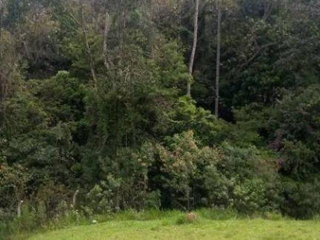 Terreno à venda Cotia/SP
