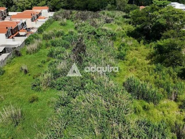 Terreno à venda, Colônia Dona Luíza, Ponta Grossa, PR