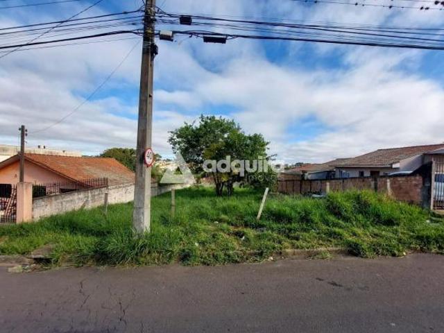 Terreno à venda, Colônia Dona Luíza, Ponta Grossa, PR