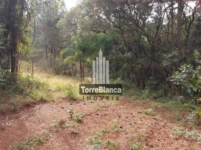 Terreno à venda, Colônia Lago, Palmeira, PR